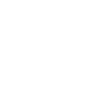 Zenetti